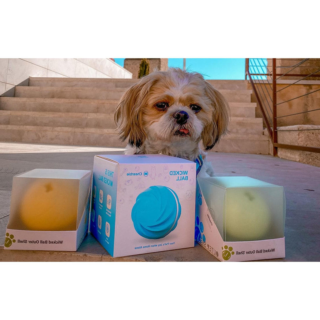 Ball Cheerble W1 Cyclone Version, pentru caini si pisici, interactiv ...