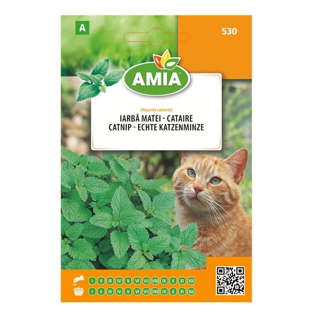 Seminte de iarba pentru pisica, Nepeta Cataria, 0,5 grame, AMIA - eMAG.ro