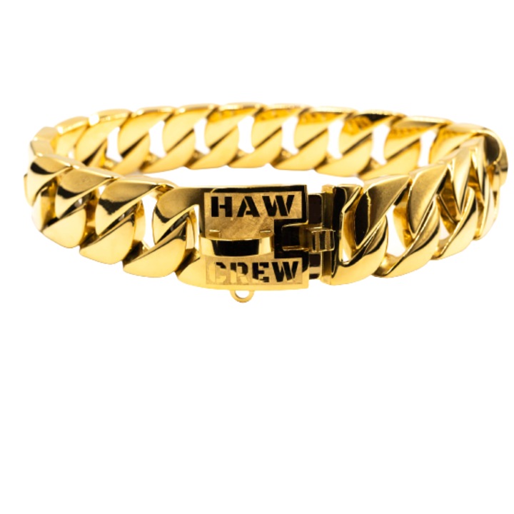 Zgarda Caini Golden Thug aurie 55cm - eMAG.ro