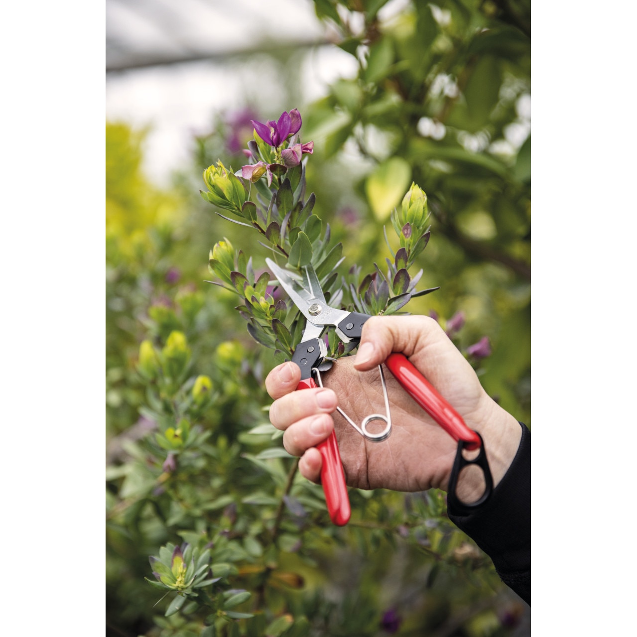 Foarfeca pentru recoltat si cizelat, snip Felco 322 - eMAG.ro