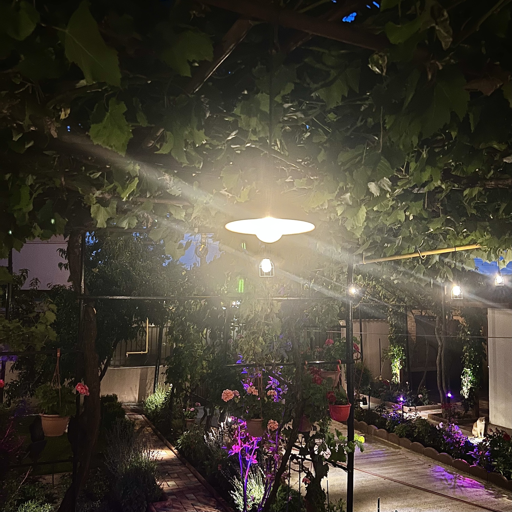 Lampa solara Sapporo, pentru iluminat exterior/interior, lungime cablu ...
