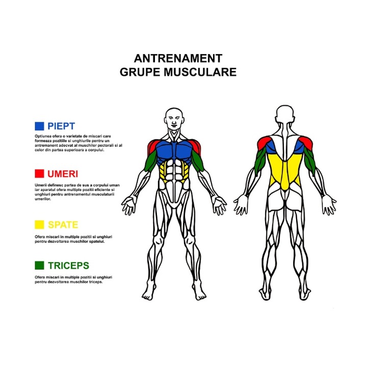 Placa pentru Flotari Multifunctionala, pe baza de culori, cu manere ...