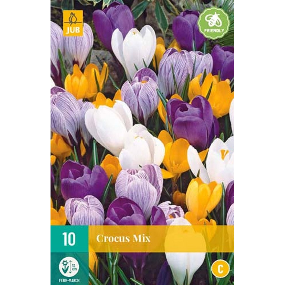 Bulbi, Branduse Crocus Large Flowering Mix, Jub Holland, 10 buc - eMAG.ro