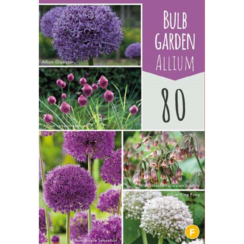 Bulbi, Allium Garden Mix, Jub Holland, Maxi Pack, 80 buc - eMAG.ro
