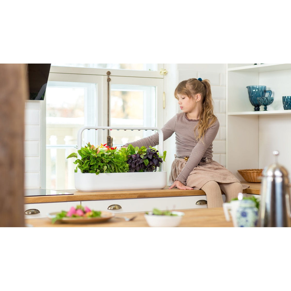 Gradina inteligenta Click & Grow Smart Garden 9, cu lampa LED, gri ...