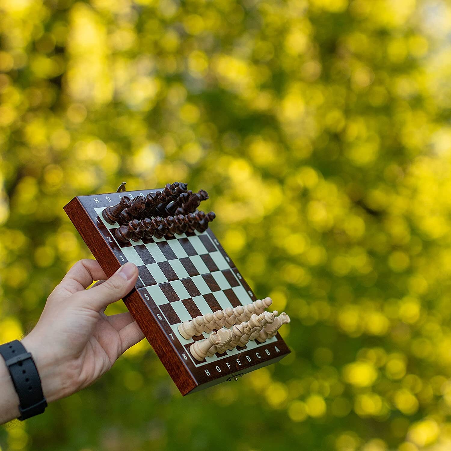 Set de sah Master of Chess, Model clasic, Tabla pliabla, 20 x 20 cm ...