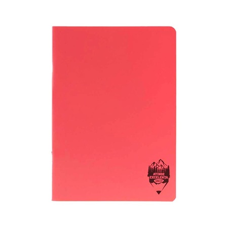 Caiet A4, 48 file, aritmetica, coperta PP, Atinge Excelenta, Daco - eMAG.ro