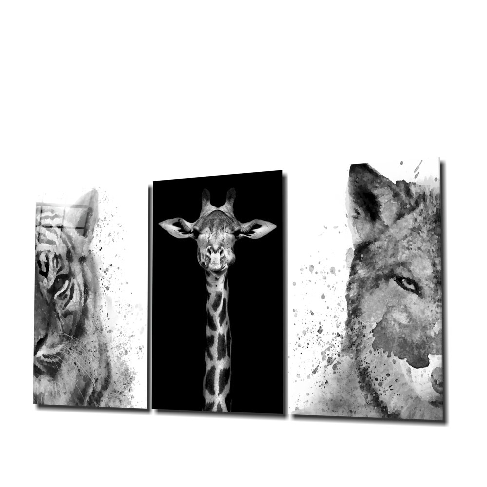 Set 3 tablouri, Print digital, Model- Animale, 72x46cm - eMAG.ro