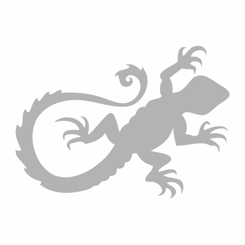 Sticker auto Lizard, Alb, 30 cm - eMAG.ro
