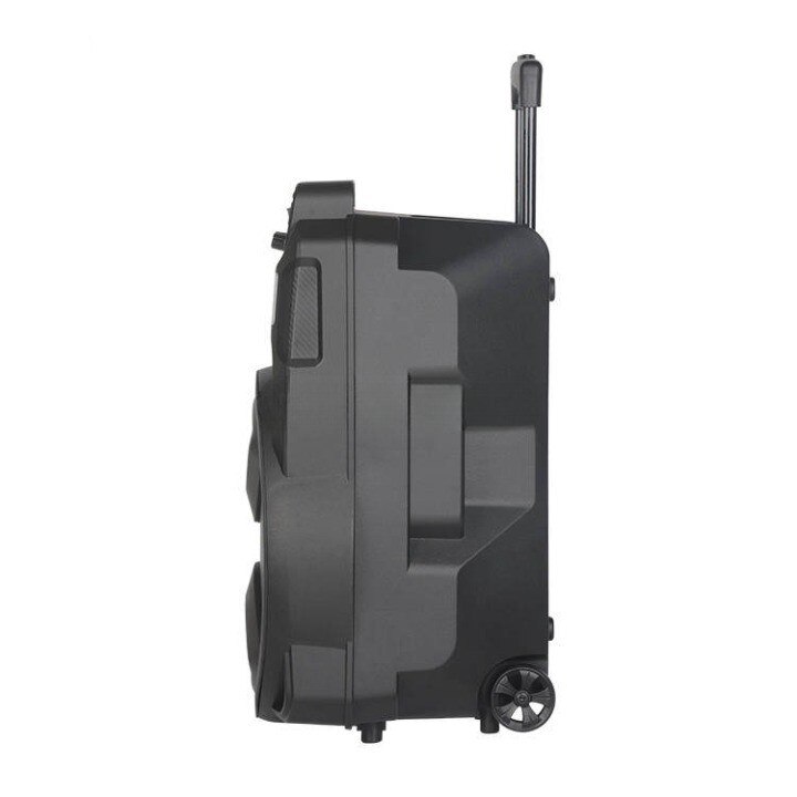 Boxa portabila, Cu Bluetooth, Karaoke, Geanta, Microfon wireless inclus ...