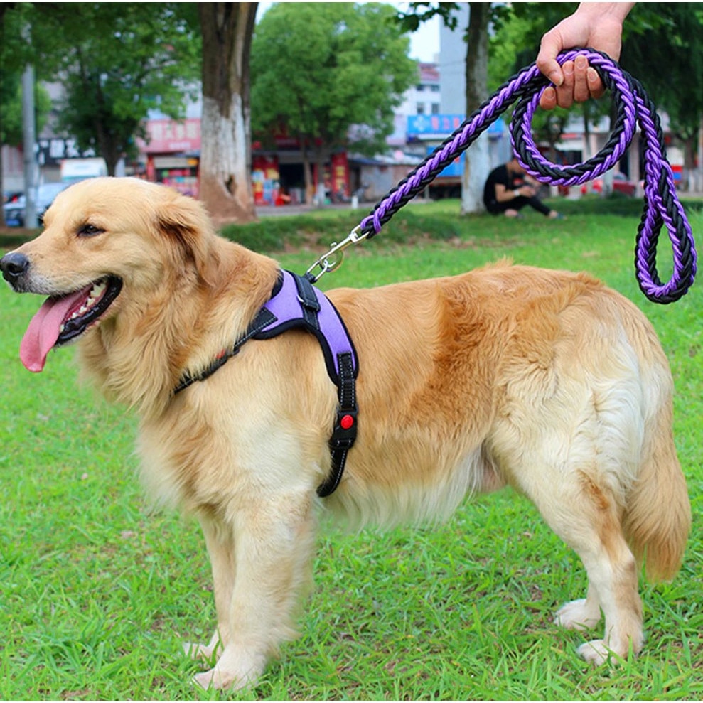 Ham reglabil pentru catei, Zola®, ajustabil, carlig pentru lesa ...