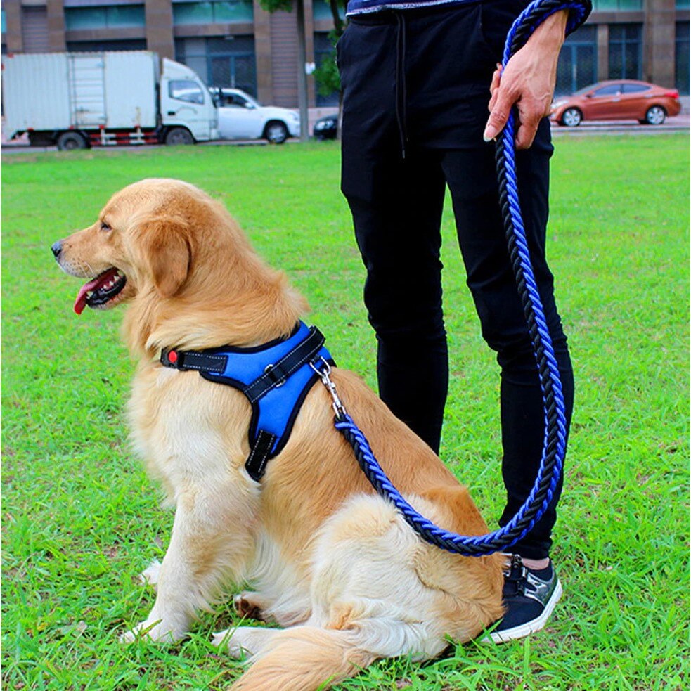 Ham reglabil pentru catei, Zola®, ajustabil, carlig pentru lesa ...