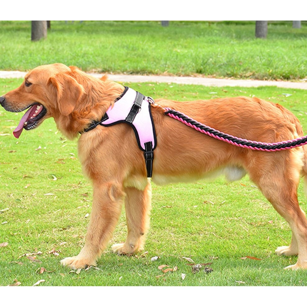 Ham reglabil pentru catei, Zola®, ajustabil, carlig pentru lesa ...