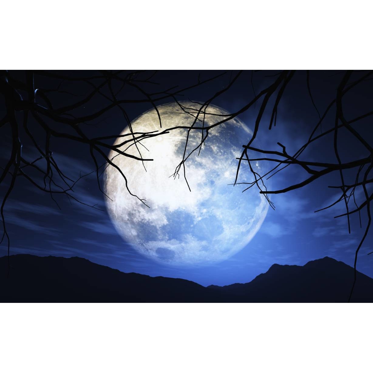 Fototapet autoadeziv PVC - Luna Plina Printre Crengile Copacului, 400 x 250 cm - eMAG.ro