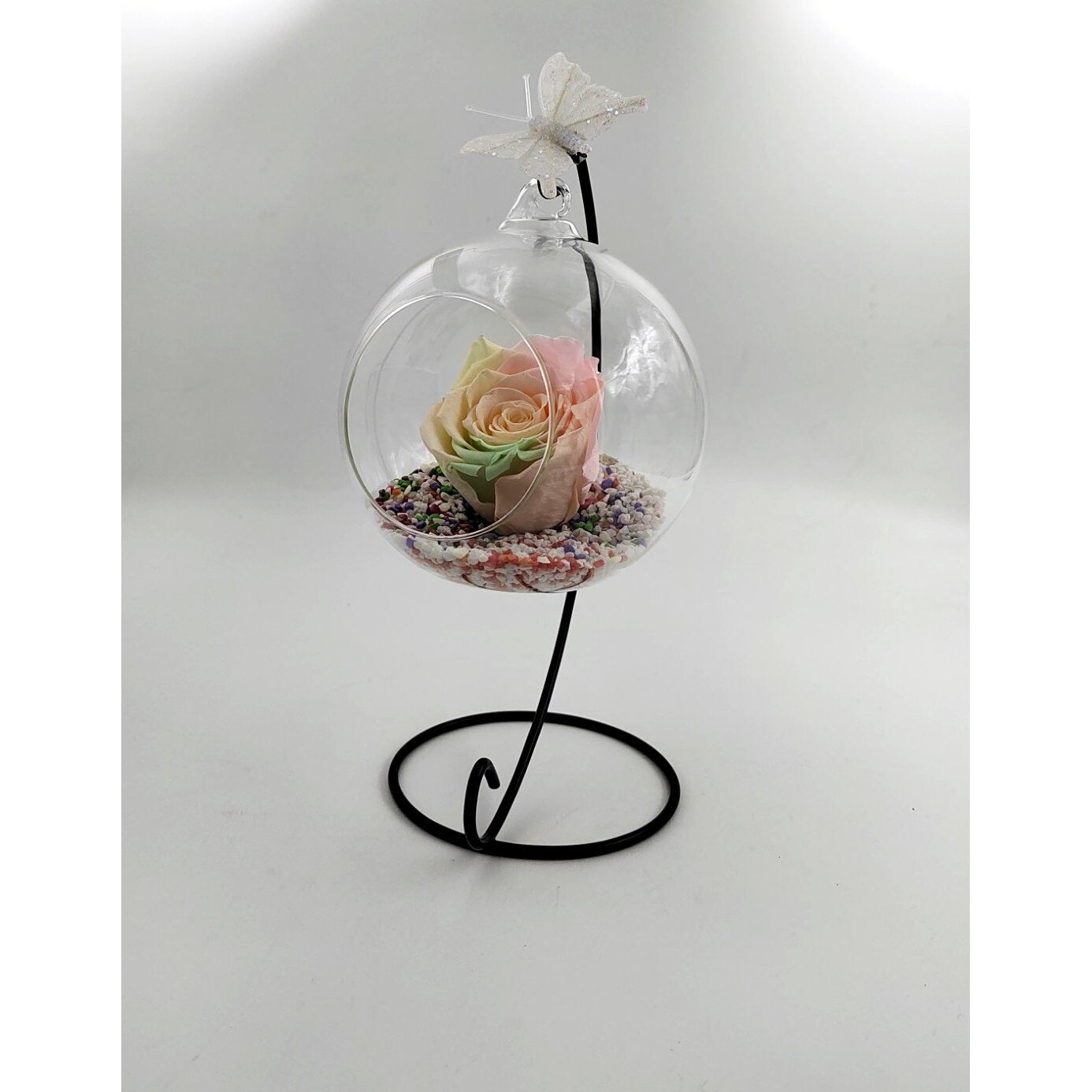 Trandafir Criogenat, Multicolor Pal, pe pat de pietricele, in bol de ...