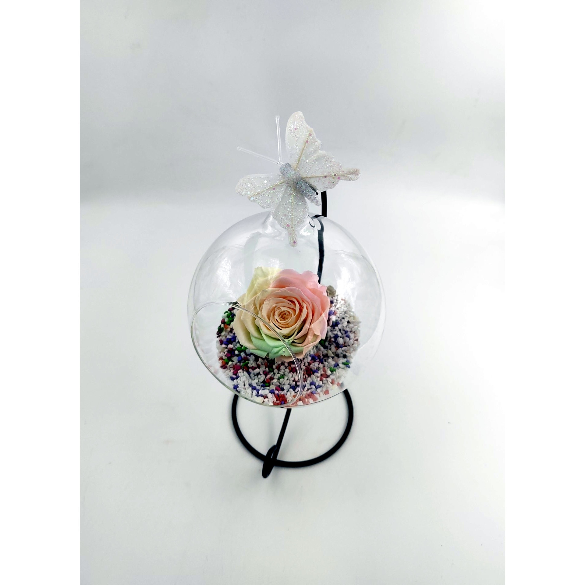 Trandafir Criogenat, Multicolor Pal, pe pat de pietricele, in bol de ...