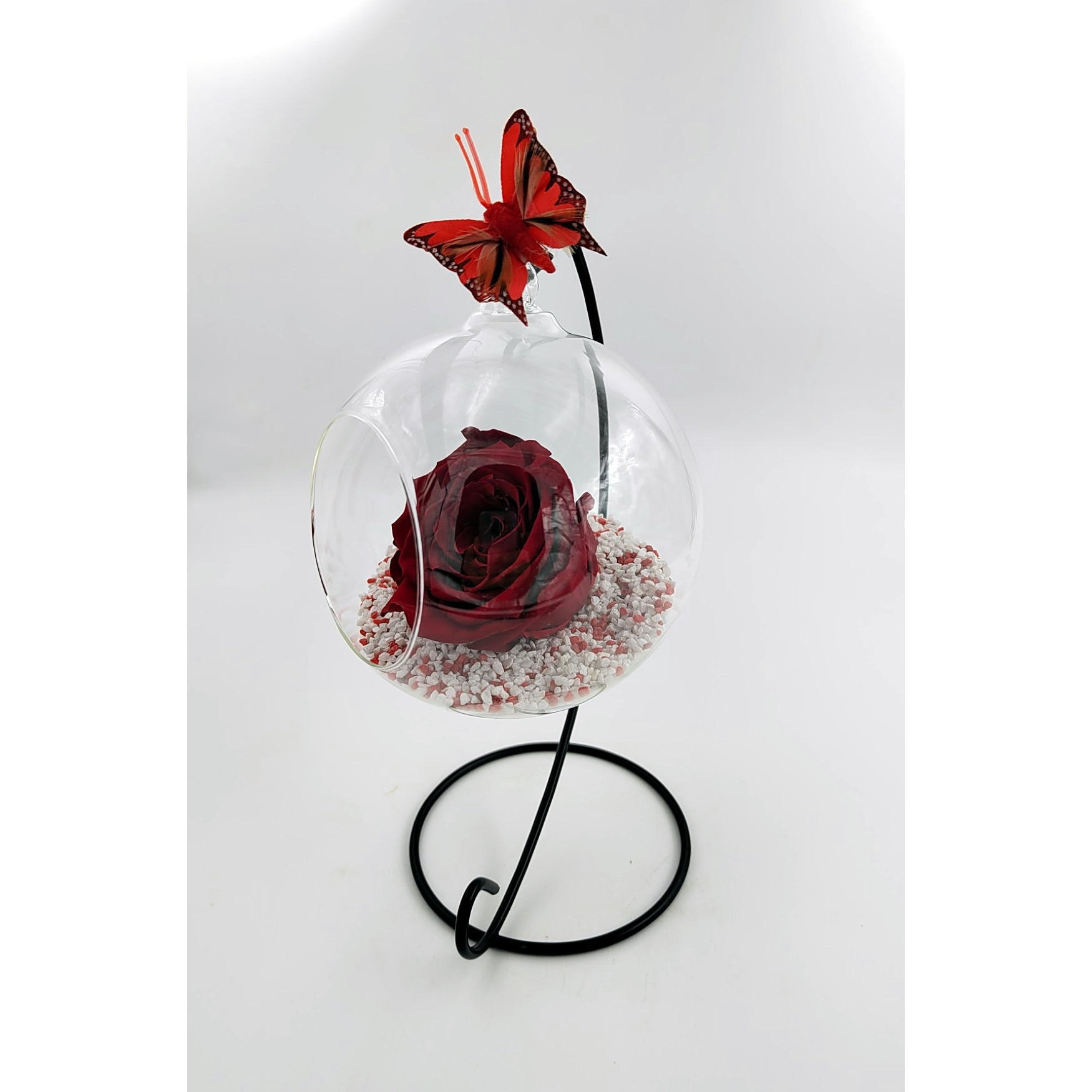 Trandafir Criogenat, visiniu, pe pat de pietricele, in bol de sticla cu ...