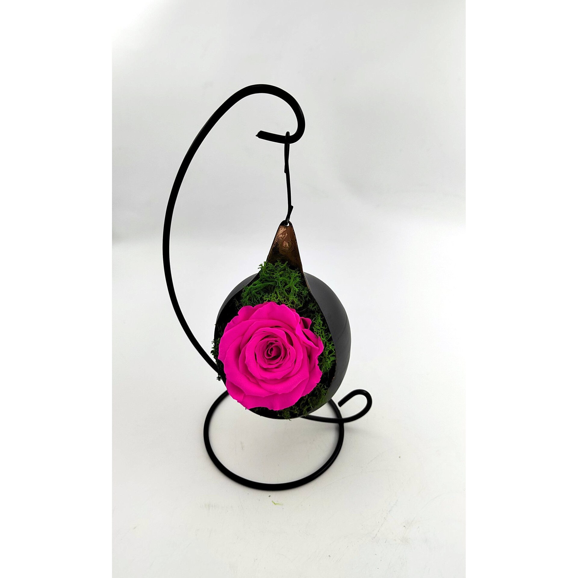 Trandafir Natural Criogenat, fucsia neon, pe pat de muschi, in fotoliu ...