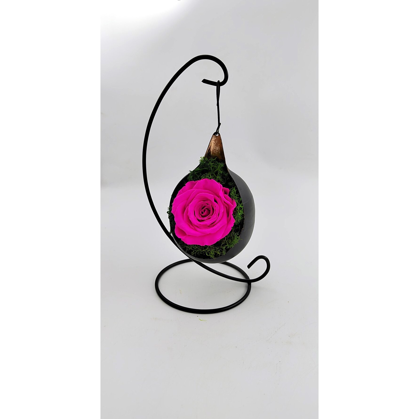 Trandafir Natural Criogenat, fucsia neon, pe pat de muschi, in fotoliu ...