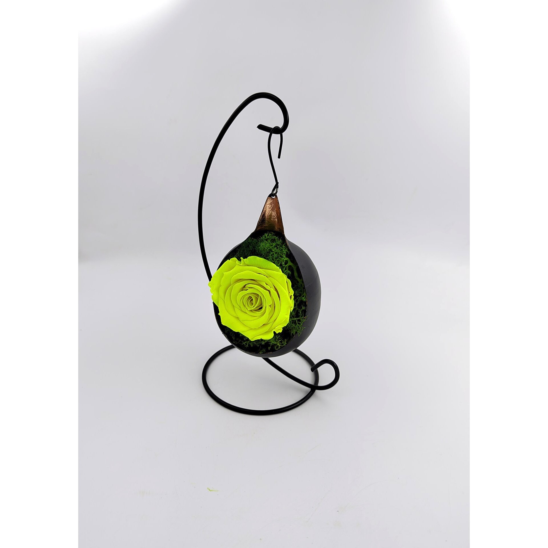 Trandafir Natural Criogenat, galben neon, pe pat de muschi, in fotoliu ...