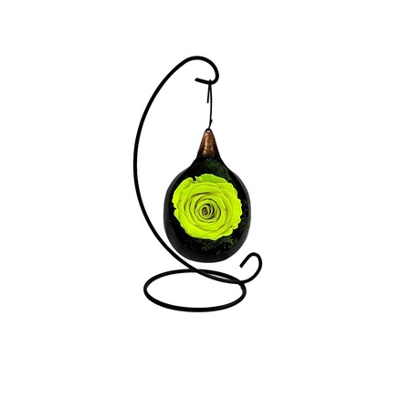 Trandafir Natural Criogenat, galben neon, pe pat de muschi, in fotoliu ...