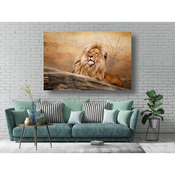 Sticker perete - Mascul Leu, 70x120 cm - eMAG.ro