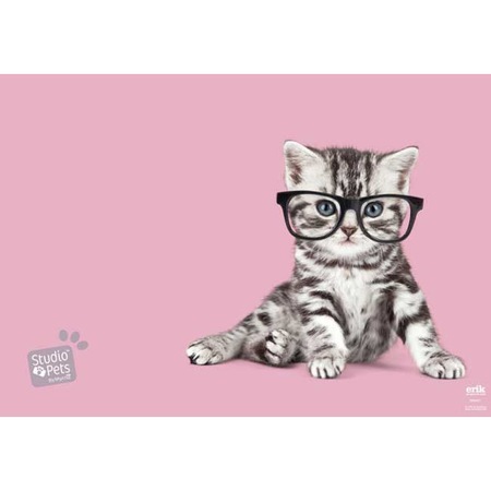 Подложка Studio Pets Cat, За бюро - eMAG.bg
