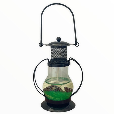 Lumanare decorativa cu gel transparent in felinar, model verde, 13 cm ...