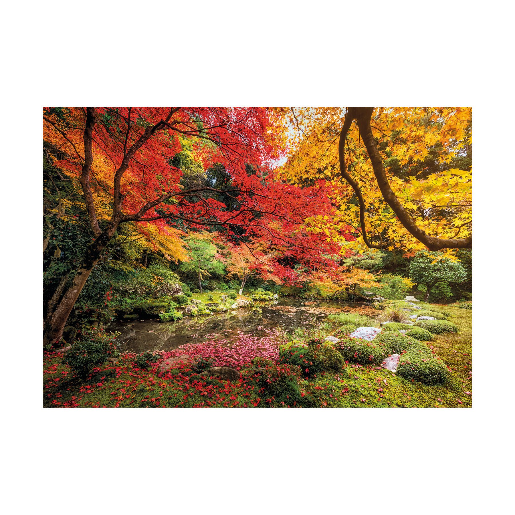 Puzzle Clementoni High Quality Collection - Parcul toamna, 1500 piese ...