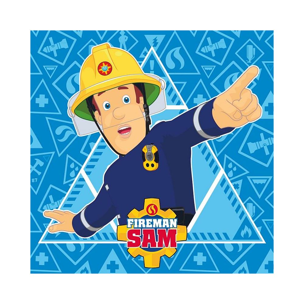 Ceas de mana copii Pompierul Sam - eMAG.ro