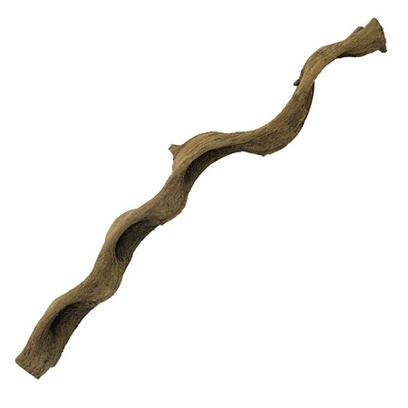 Decor liana naturala pentru terariu Tropical Forest, 25 cm, Verde - eMAG.ro