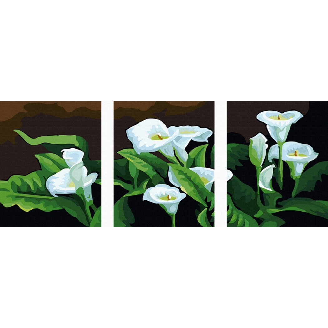 Set 3 picturi pe numere, cu sasiu, Cale albe, 50x120 cm - eMAG.ro
