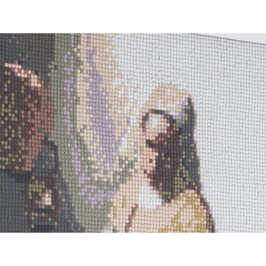 Set goblen cu diamante, fara sasiu, Laptareasa - Vermeer, 40x50 cm - eMAG.ro