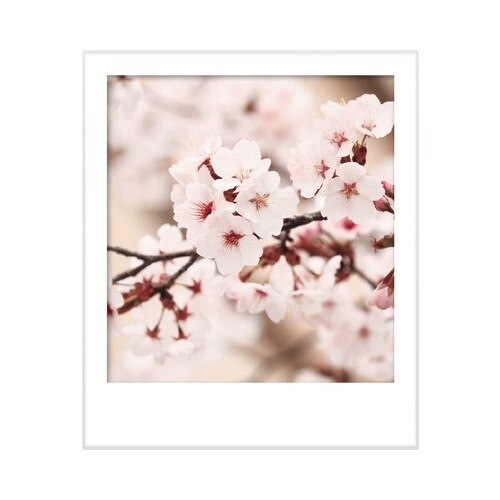 Vopsea mata premium, fara conservanti, nuanta 14 Roz, cantitate 2,5 ...