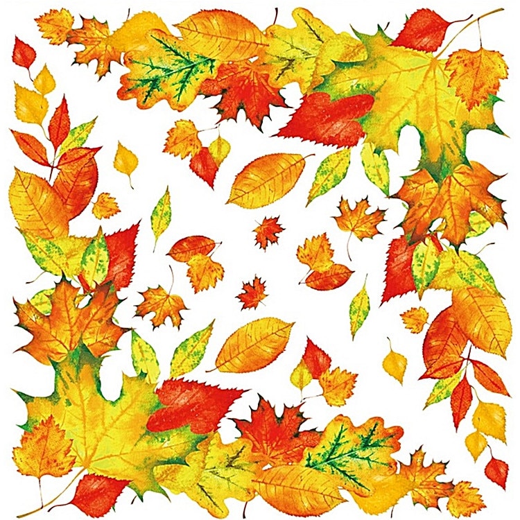 Sticker geam cu frunze colorate de toamna, pentru colt de geam, 30 x 33 ...