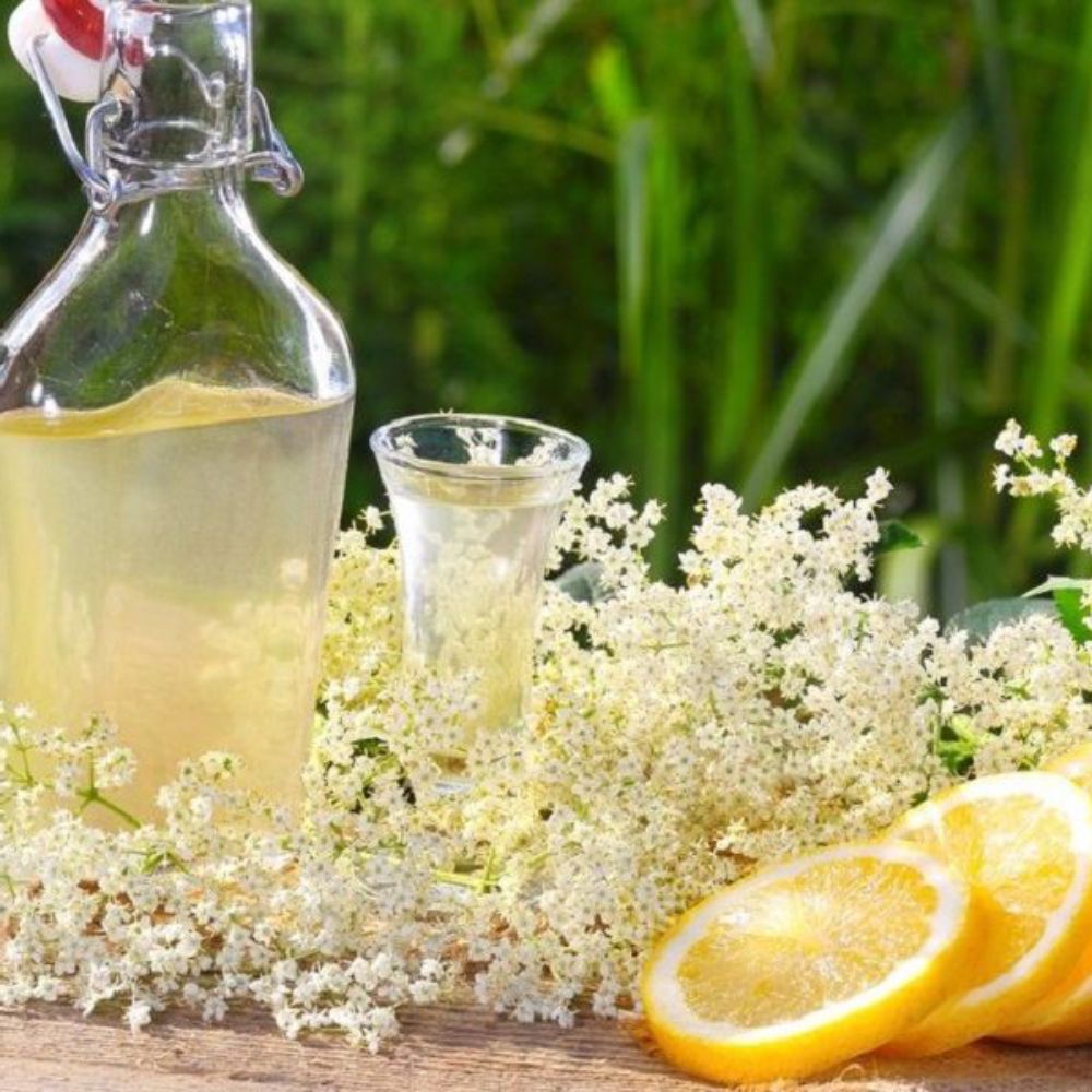 Газирана напитка Фанта 1.75л с вкус на бъз - eMAG.bg