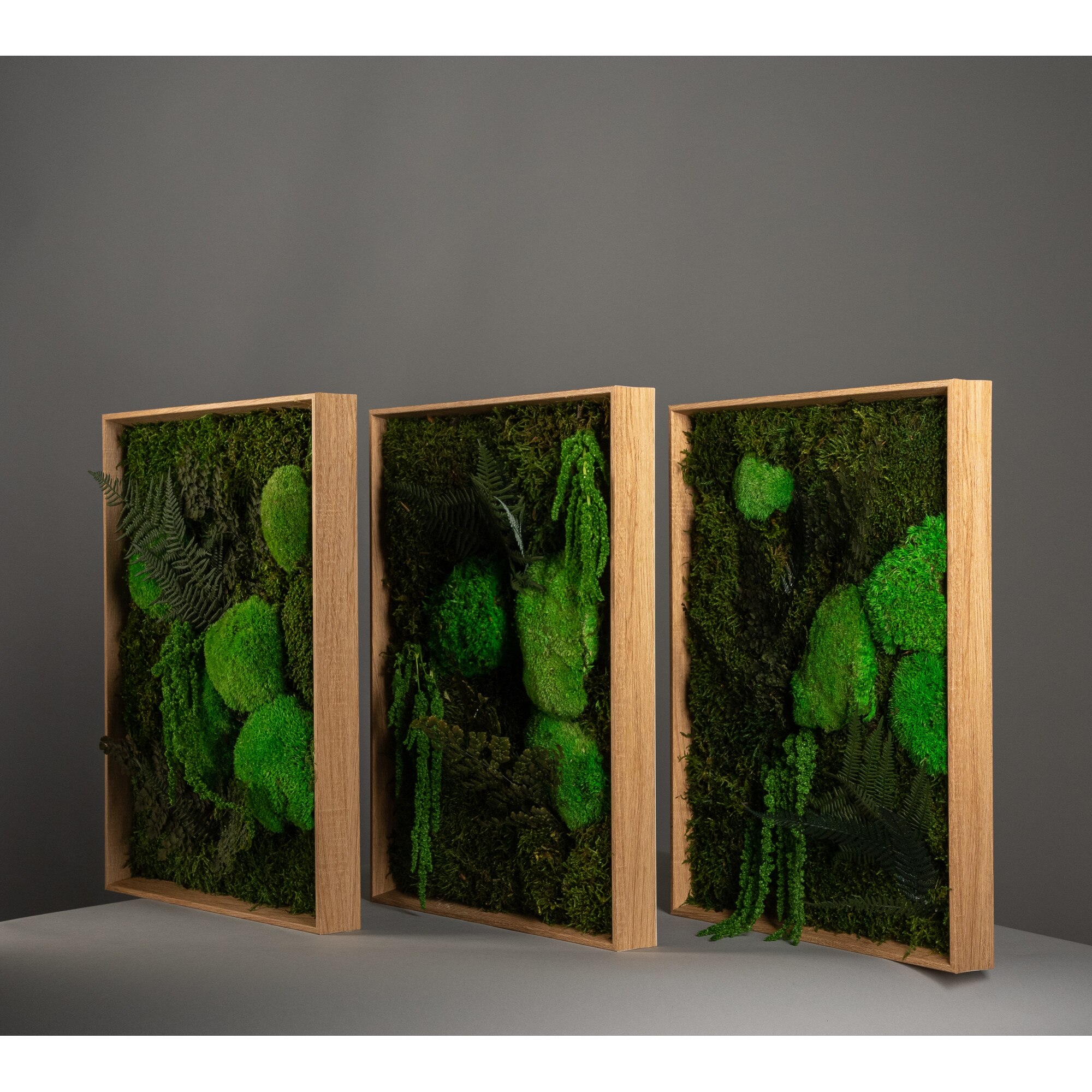 Set de 3 Tablouri cu muschi si plante stabilizate, rama natur 31x41x4 ...