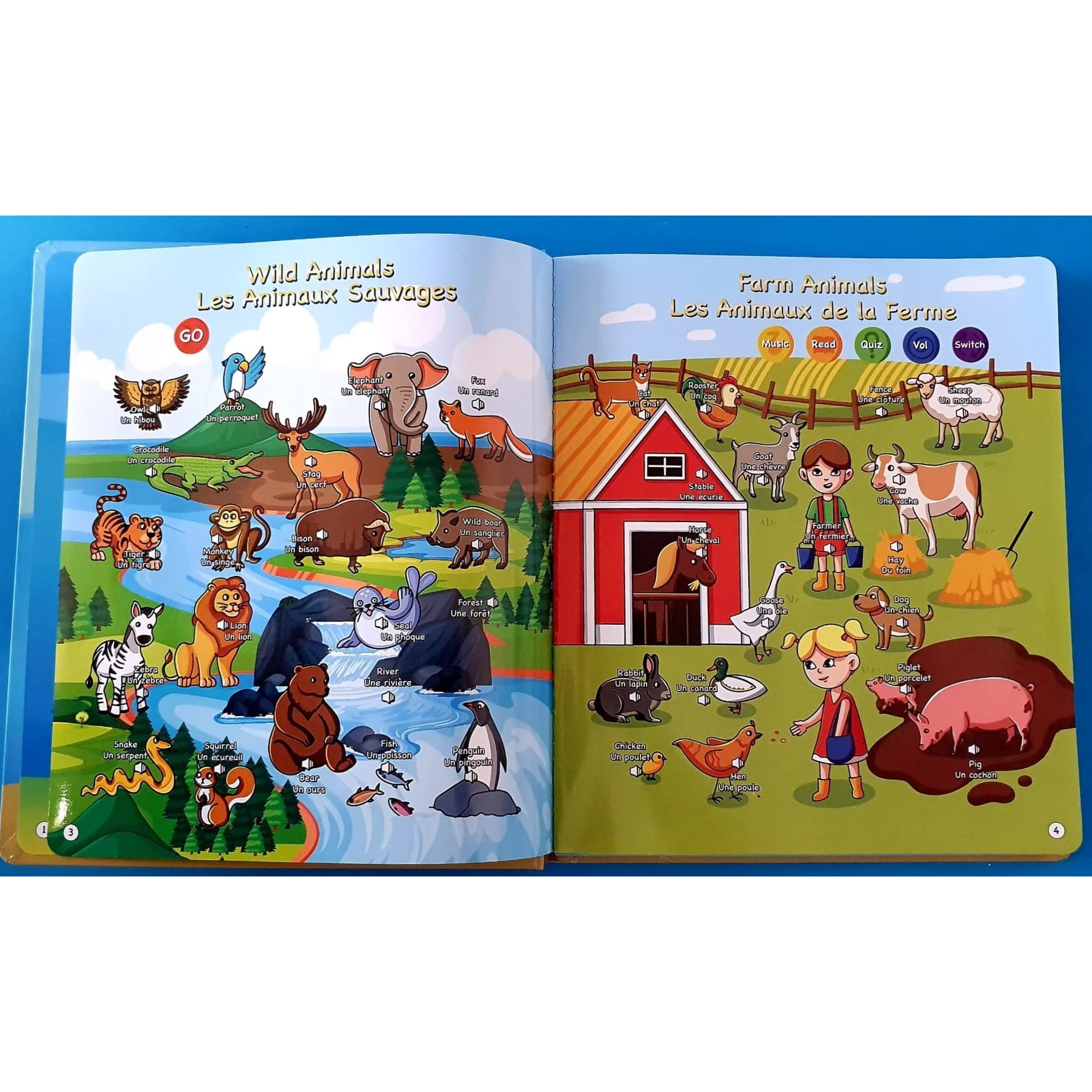 Carte interactiva Engleza-Franceza, cu peste 400 de cuvinte si expresii ...