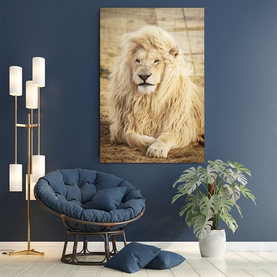 Tablou Sticla, White Lion, 70x100cm - eMAG.ro