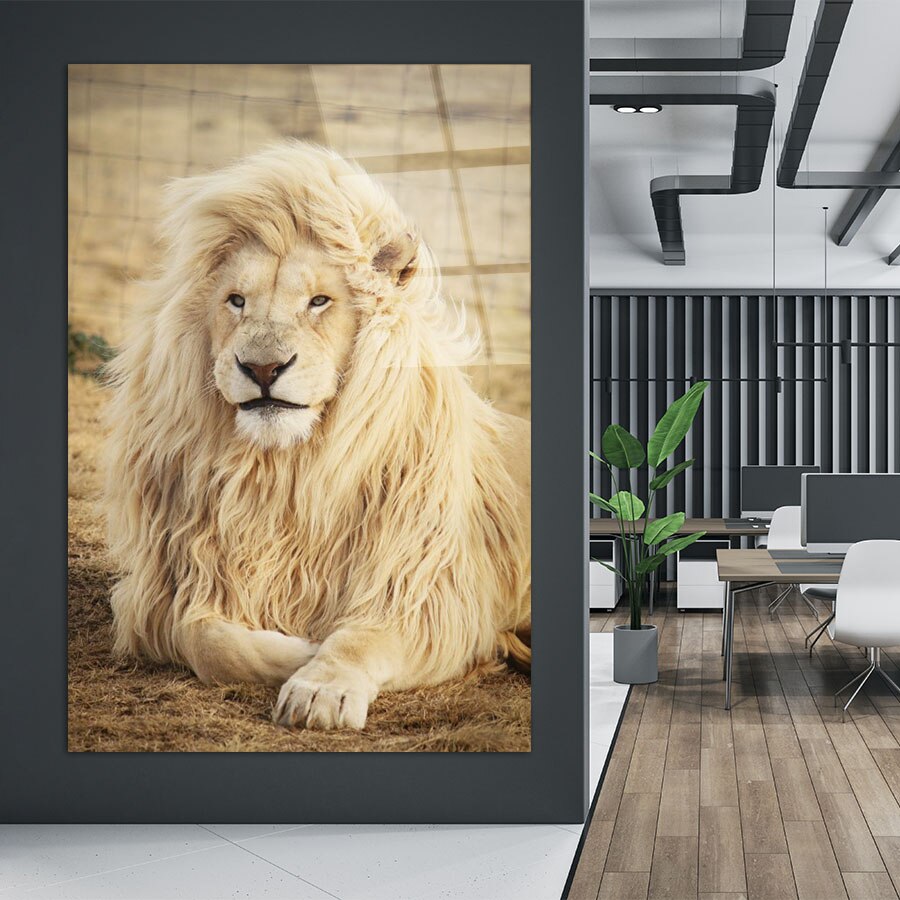 Tablou Sticla, White Lion, 70x100cm - eMAG.ro