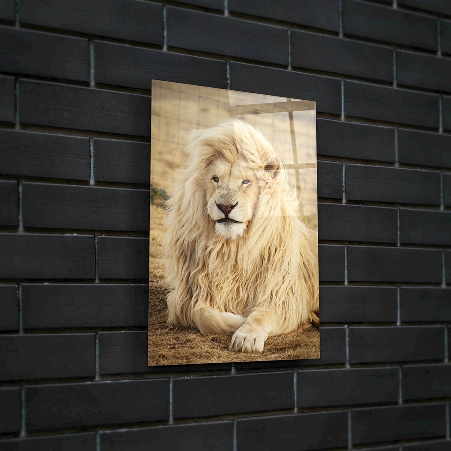 Tablou Sticla, White Lion, 70x100cm - eMAG.ro