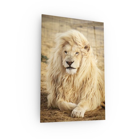Tablou Sticla, White Lion, 70x100cm - eMAG.ro