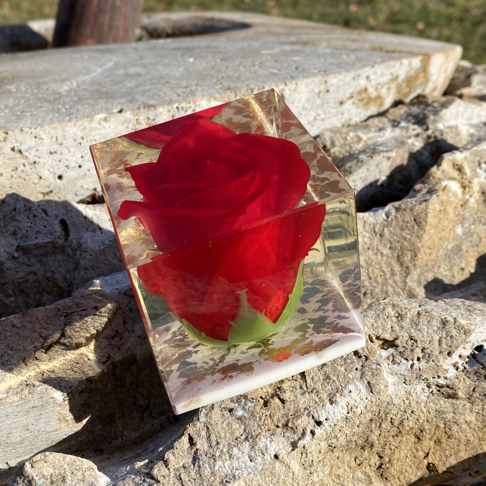 Trandafir Rosu Cu Foita De Aur, Incastrat In Rasina Epoxidica, Cub Cu ...