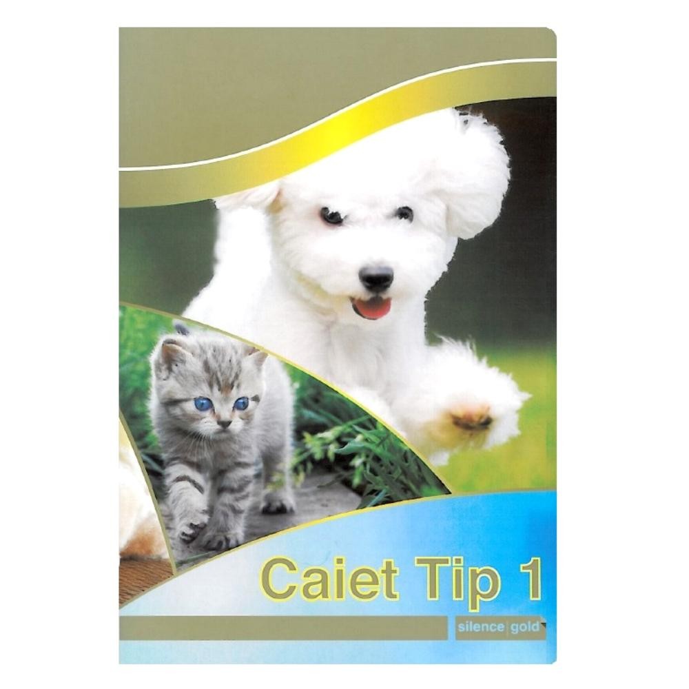 Set 3 caiete Tip I Premium, 24 file, hartie 80g/mp, Silence Gold - eMAG.ro