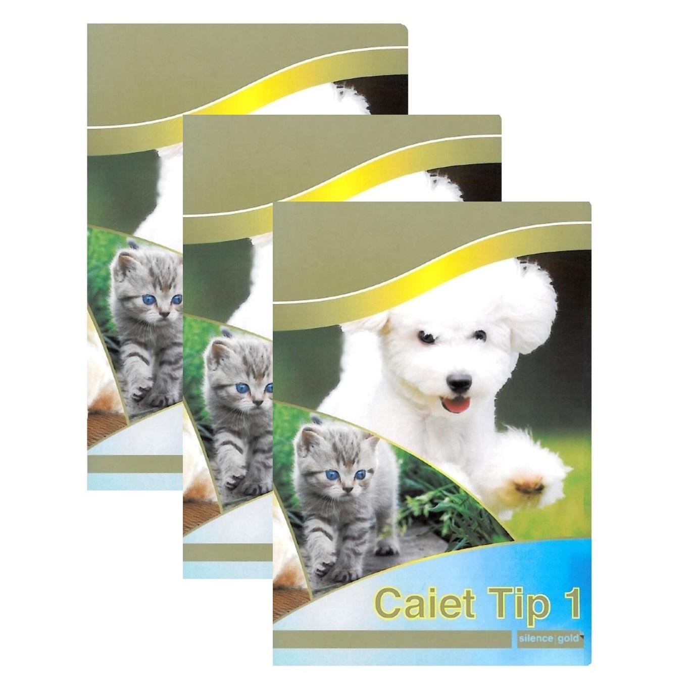 Set 3 caiete Tip I Premium, 24 file, hartie 80g/mp, Silence Gold - eMAG.ro