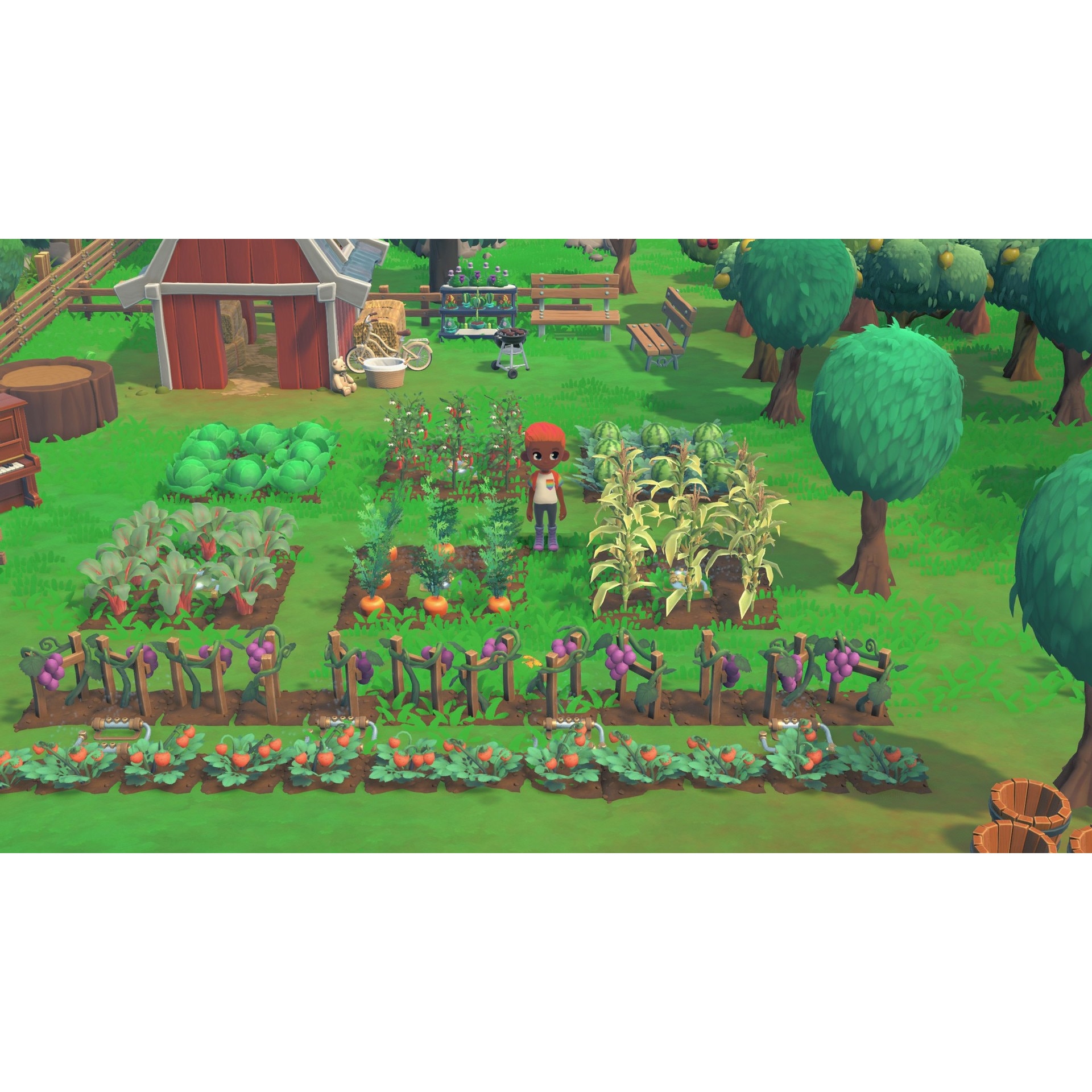 Joc Hokko Life Pentru Nintendo Switch - eMAG.ro