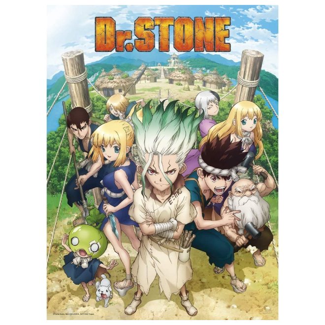Poster DR STONE, Group, 52x38 cm - eMAG.ro