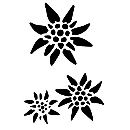 Sablon decorativ Floare colt, A4, reutilizabil, plastic - eMAG.ro