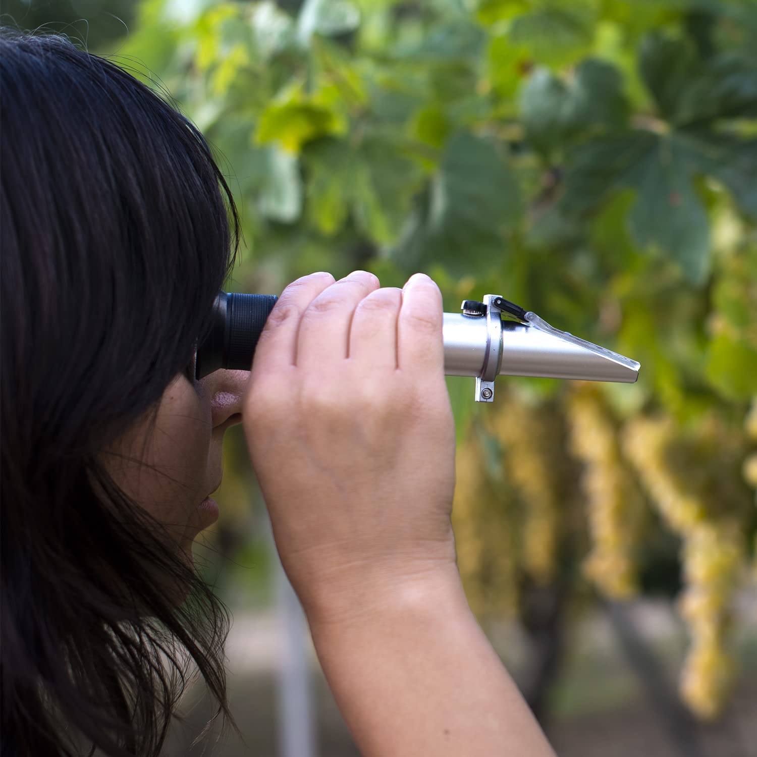 Refractometru, MzoLife, Brix 0-90% cu ATC, Albastru - eMAG.ro