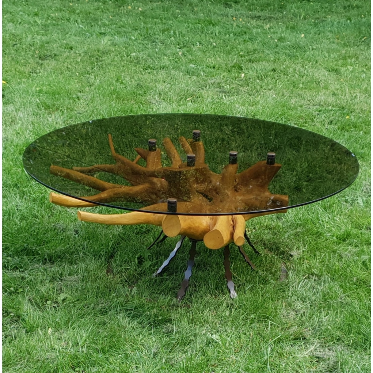 Masa din radacina de carpen si blat din sticla securizata, model unicat ...